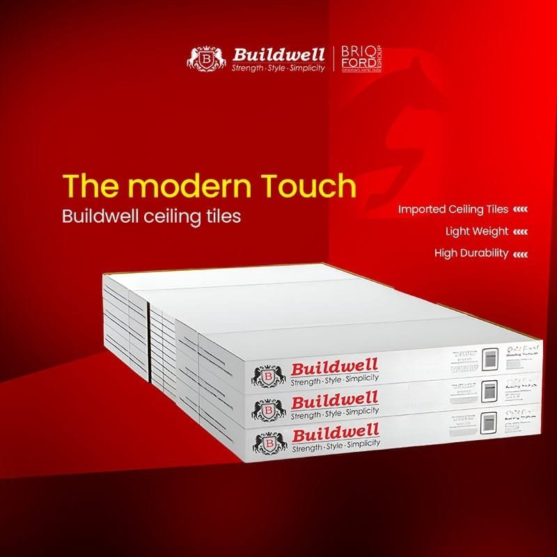 Buildwell - Premium Ceiling and Gypsum plaster Materials in India